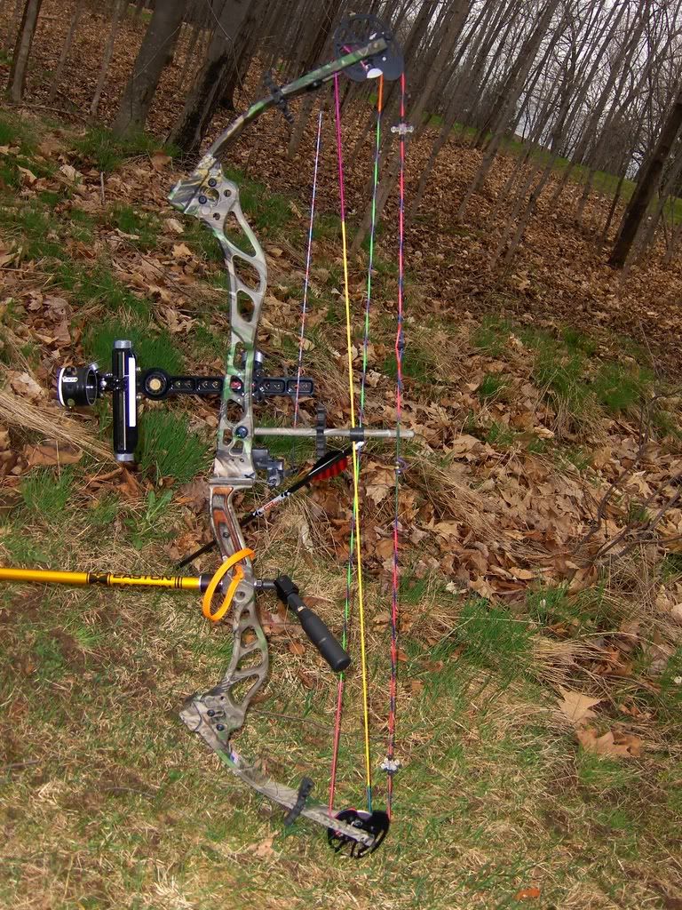 My new Constitution and Schmidtys Specialty Strings! | Archery Talk Forum