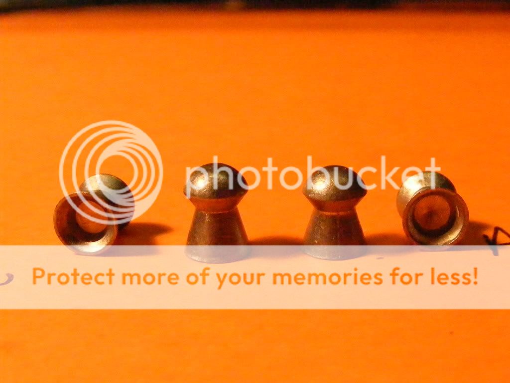 Jsb jumbo heavy 18 grain pellets