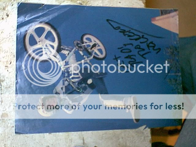 1985 Vector Unlimited FS - BMXmuseum.com Forums