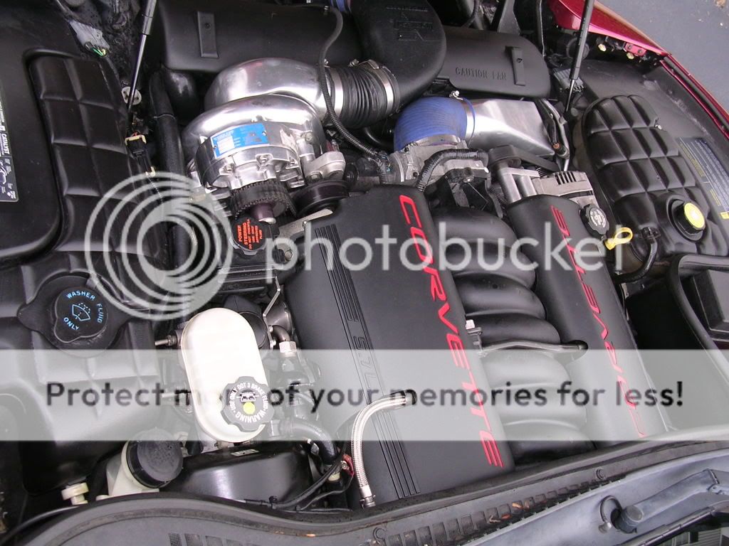 Which Air Intake for Vortech SC? - CorvetteForum - Chevrolet Corvette ...