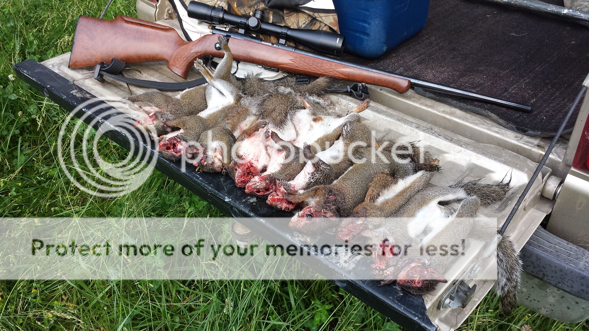 Anschutz worth the $$$ for squirrel/rabbit? | Page 4 | Rimfire Central ...